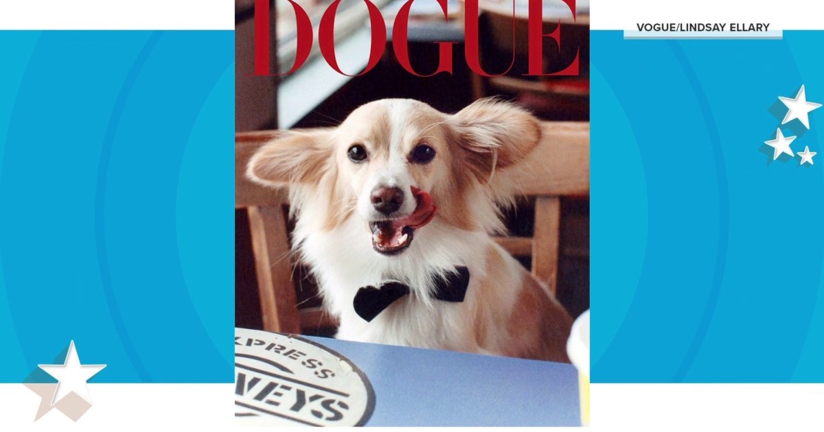 Celebrity puppies are covers stars in Vogue's new ‘Dogue’ series