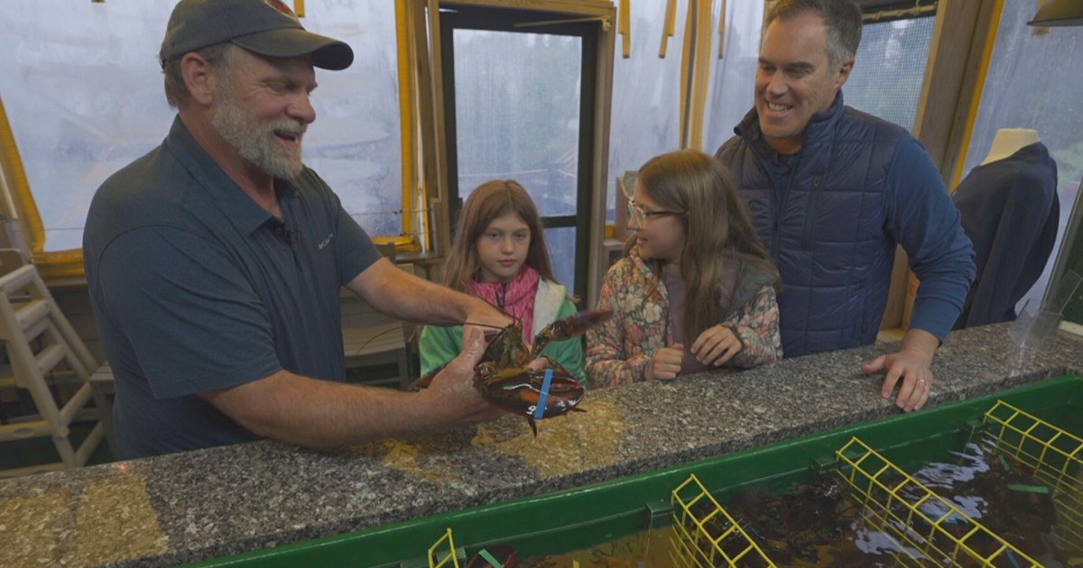 TODAY’s Peter Alexander achieves goal of visiting all 50 states