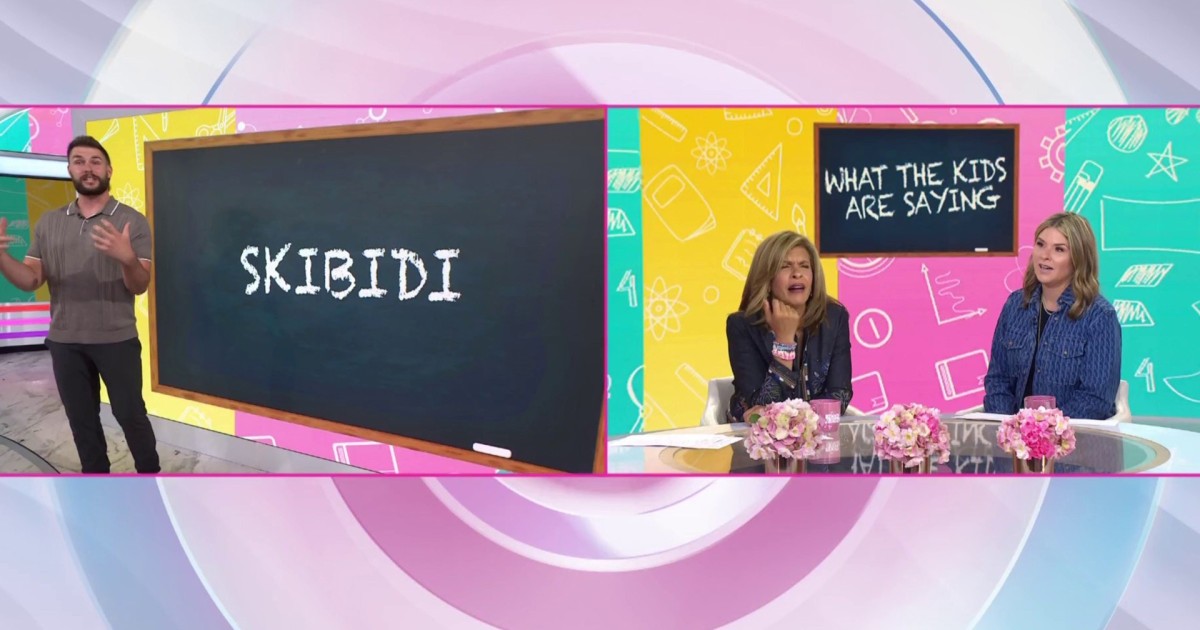 What do 'skibidi' and 'GigaChad' mean? TikTok teacher weighs in
