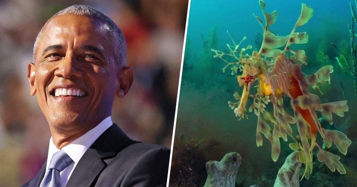 Get a sneak peek at ‘Our Oceans’ narrated by Barack Obama