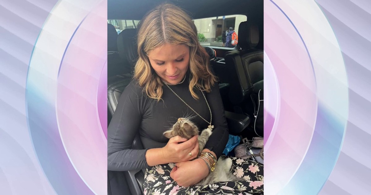 Jenna Bush Hager welcomes adorable new kitten to her family!