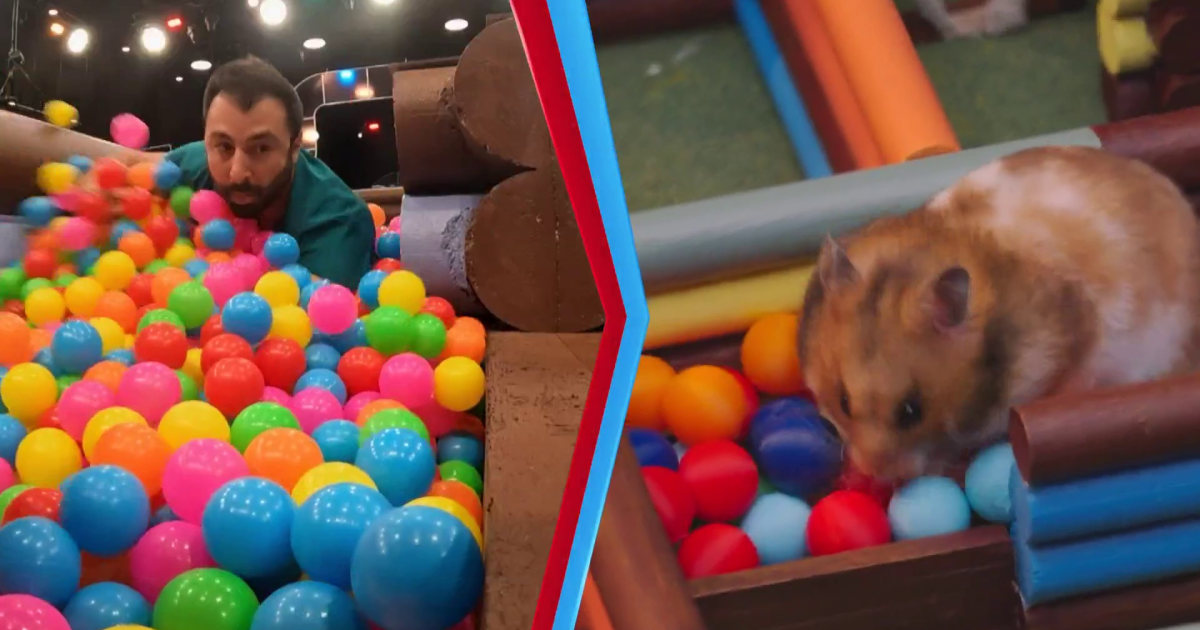 Get a sneak peek at 'Human vs. Hamster' on Magnolia Network