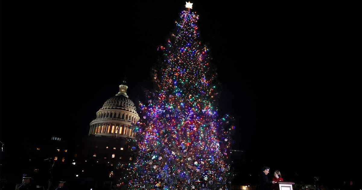 US Capitol Christmas tree is officially lit for the holiday season