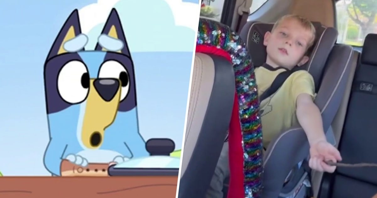 'Bluey' imparts life lesson: ‘Sometimes moms just need 20 minutes’