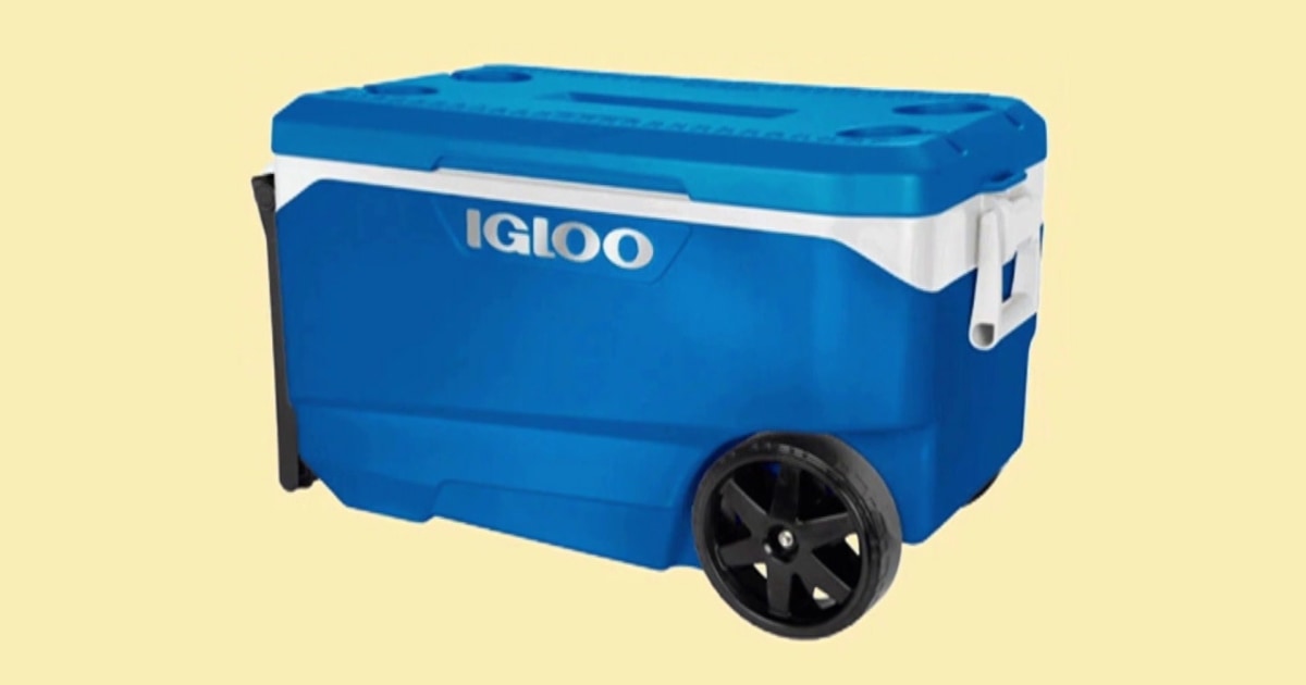 Igloo Recalls More Than 1M Coolers Over Fingertip Injury Risk