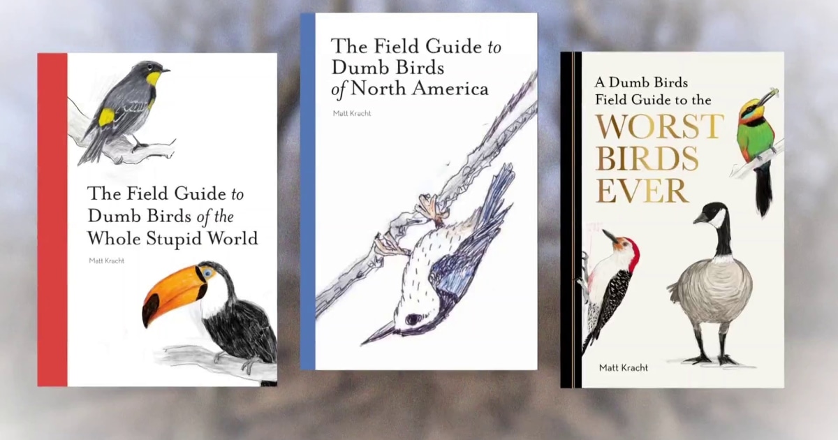 Author Matt Kracht shines a light on ‘Dumb Birds’ with book series