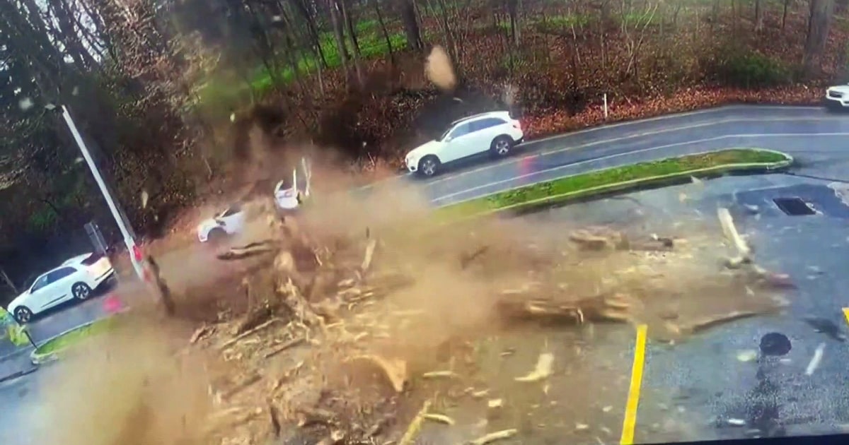 Driver escapes after massive tree crashes down onto SUV