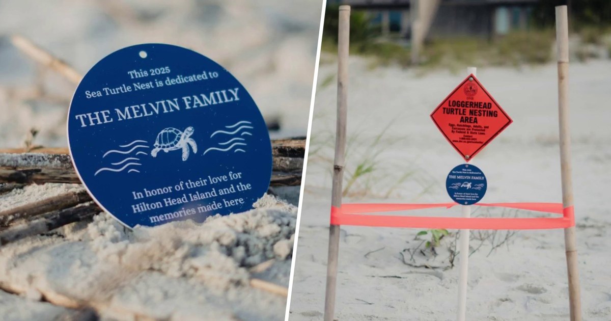 Sea Turtle Nest in Hilton Head Dedicated to Craig Melvin’s Family