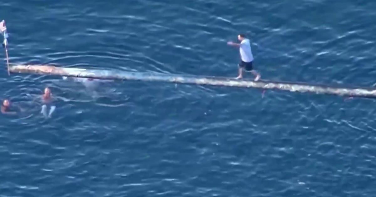 20-year-old Wins 2025 Greasy Pole Competition in Massachusetts