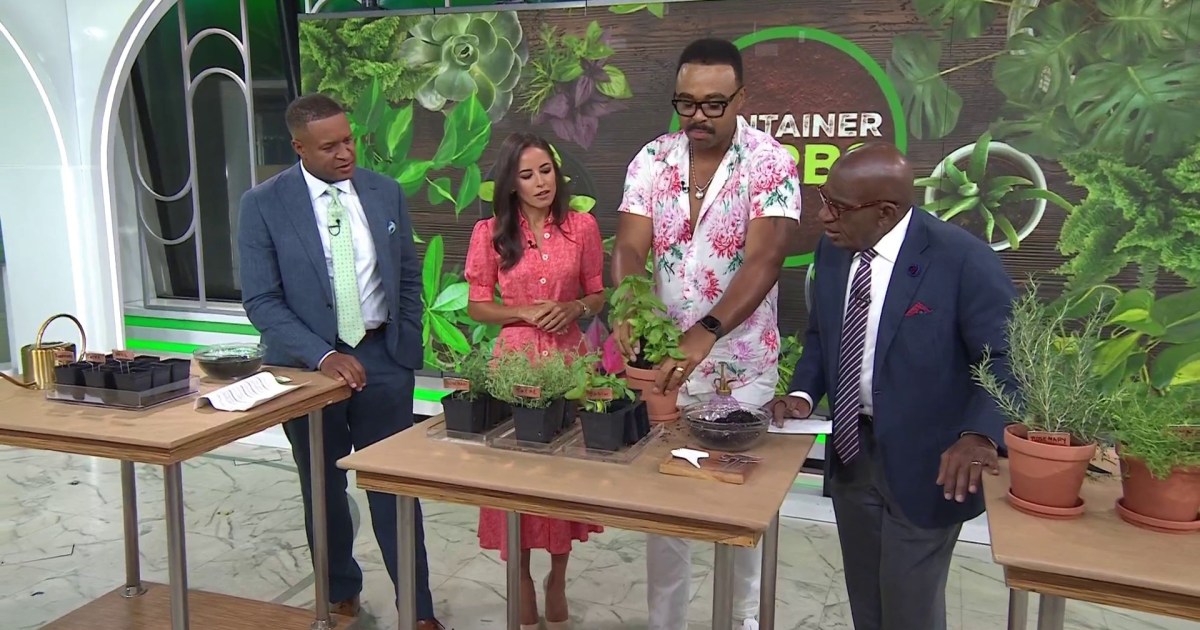 How to Grow a Mini Herb Garden in a House or Apartment