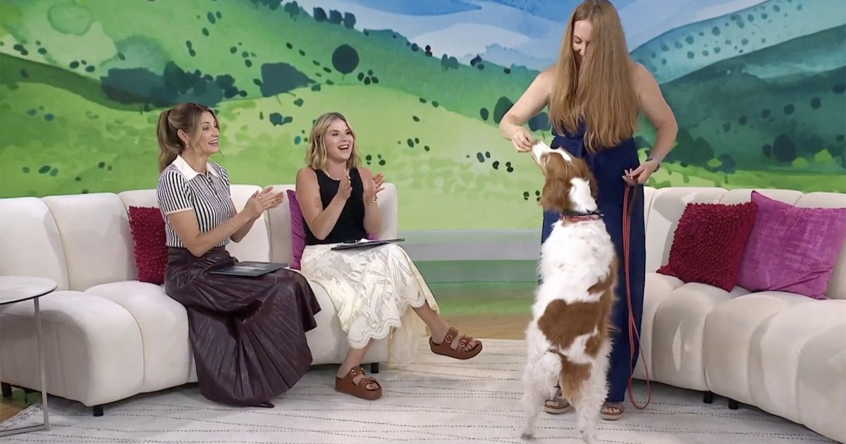 How Dexter, the Dog on 2 Legs, Inspires People to Find Courage