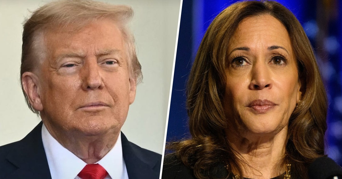 Trump Revokes Kamala Harris' Secret Service Protection