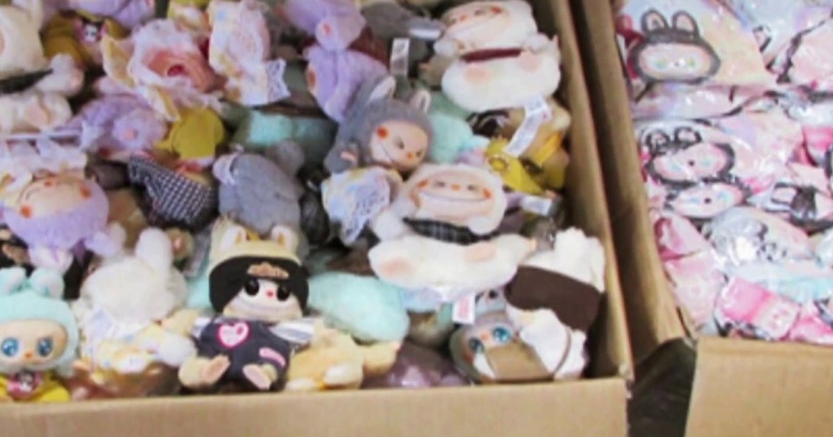 Fake Labubu Shipment Seized by US Customs in Seattle