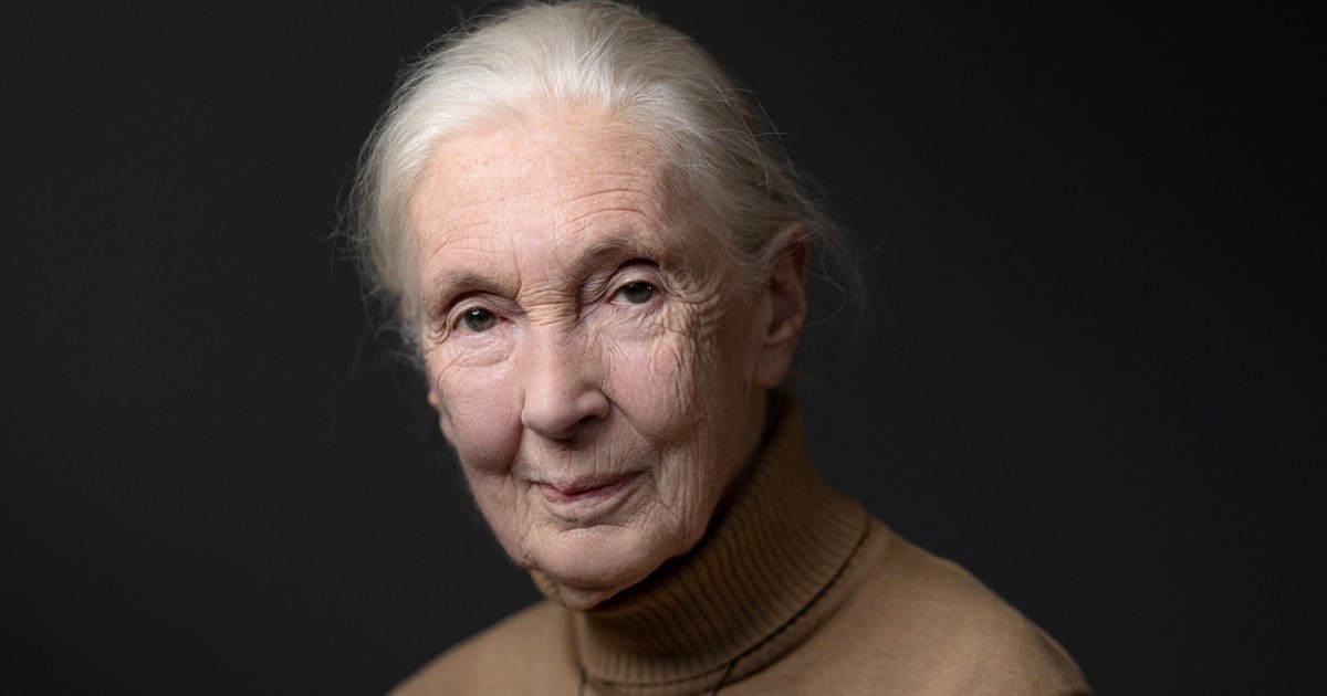 Jane Goodall Dies at 91: How Her Research Changed the World