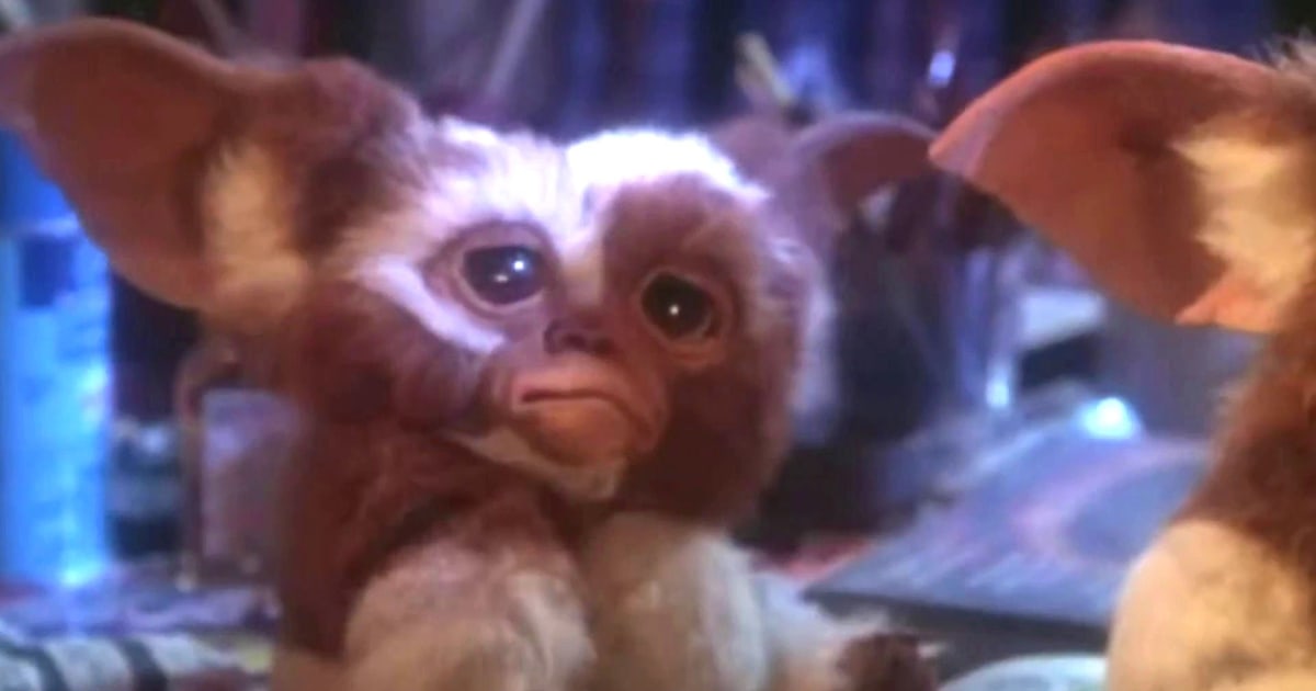 'Gremlins 3' in the Works With Steven Spielberg, Chris Columbus