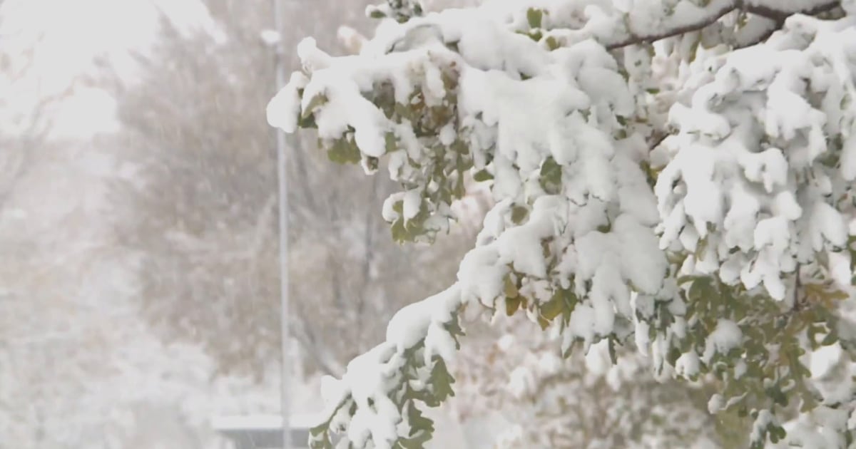 Brutal Cold Front Sweeps Across US With Early Winter Weather