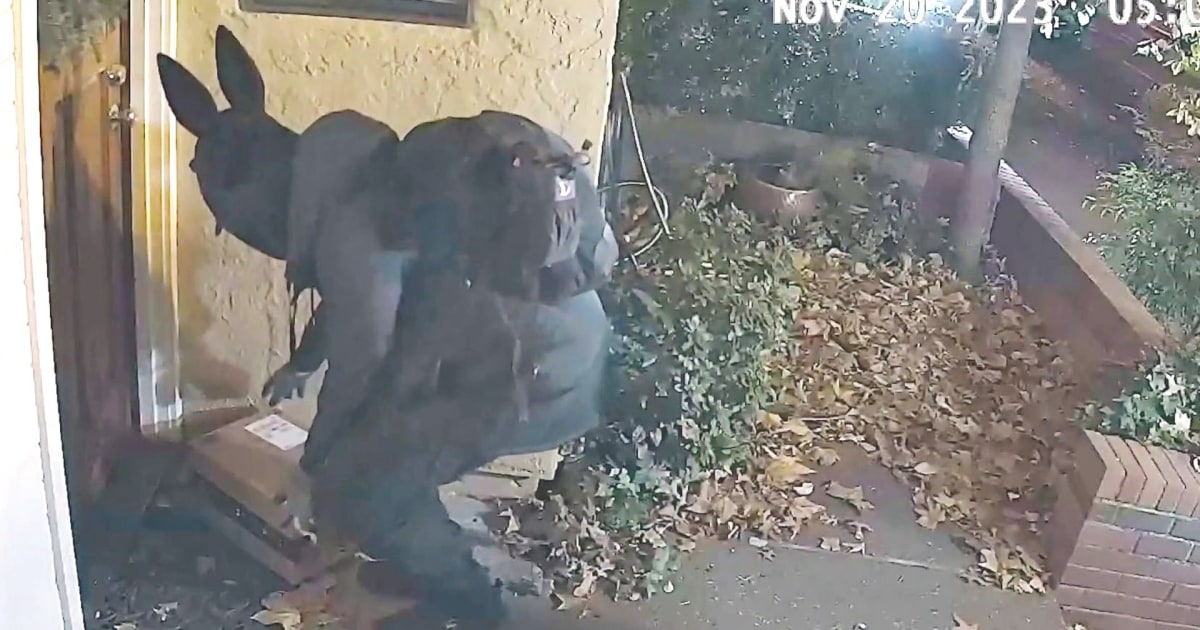 Porch Pirate Ring Targeted FedEx Packages With Insider Info: DA