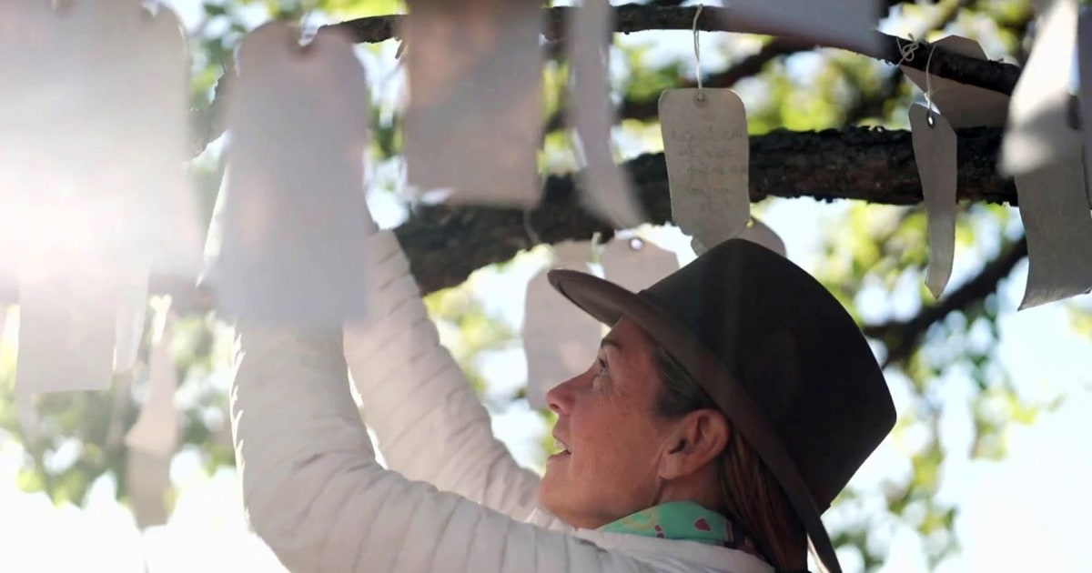 Yoko Ono’s Wish Tree in NYC Blooms With Theme of Peace