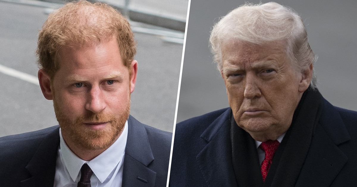 Prince Harry Condemns Trump's NATO Troop Front Line Remarks
