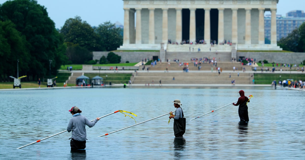 Ex-Olympian Arrested for Allegedly Touching Reflecting Pool Floor