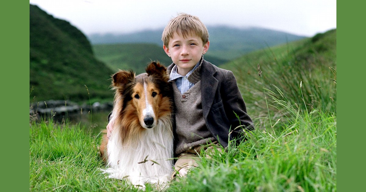 ‘Lassie’ makes a welcome return to movies