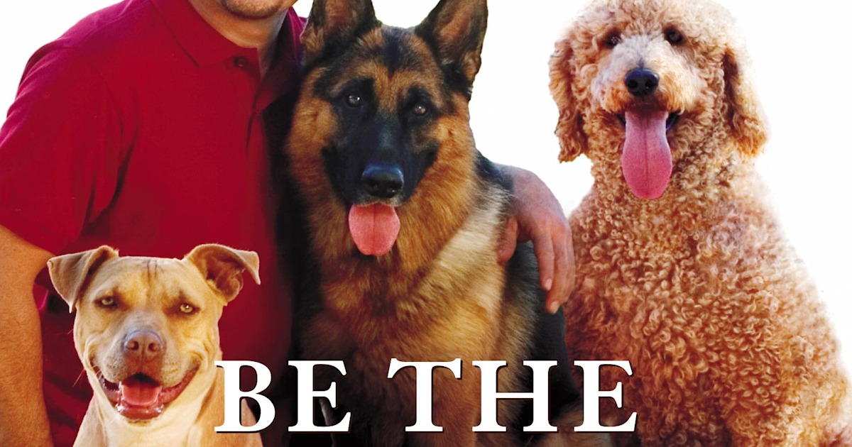 Let your dog know who’s the boss