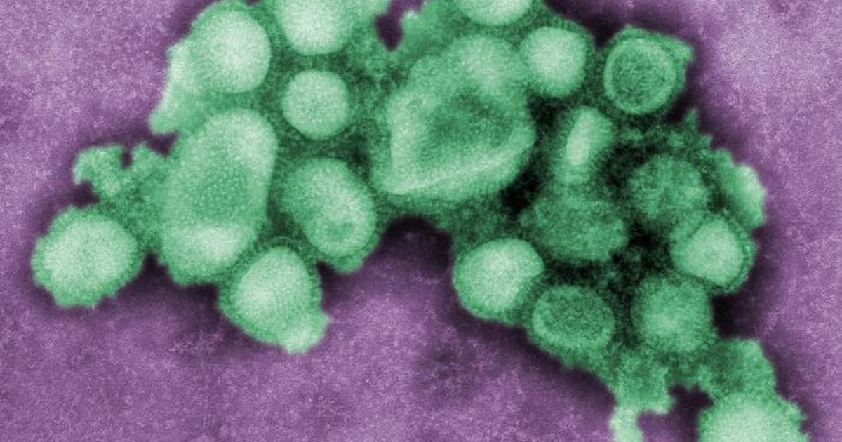 Flu Epidemic Sends Elderly to Hospitals