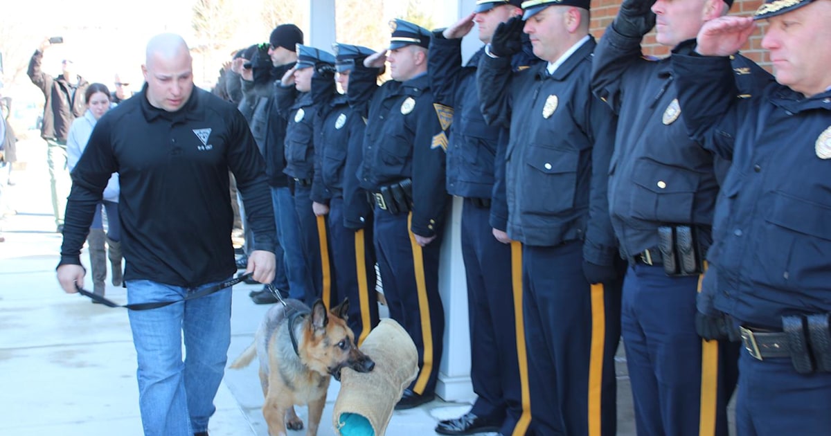 New Jersey officers line streets to honor hero K-9: 'He was just a ...