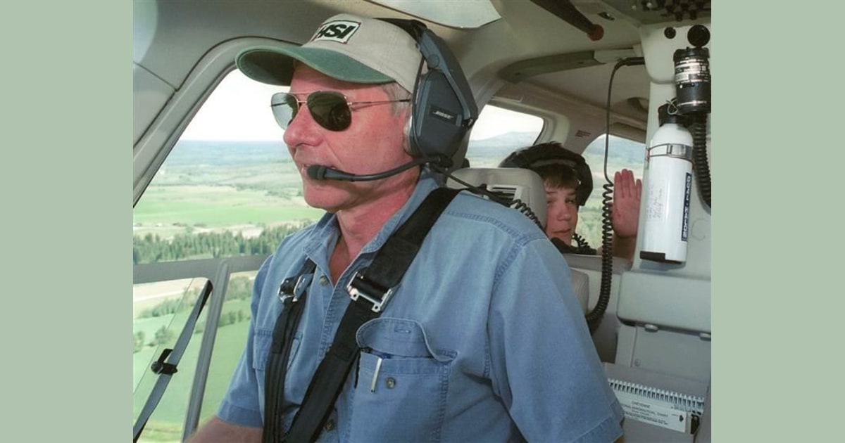 Harrison Ford's pilot friend: He is 'very meticulous' in his flight ...