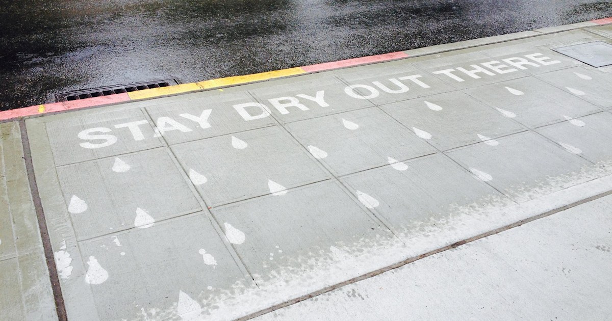 See these sidewalk illustrations that only appear when it rains