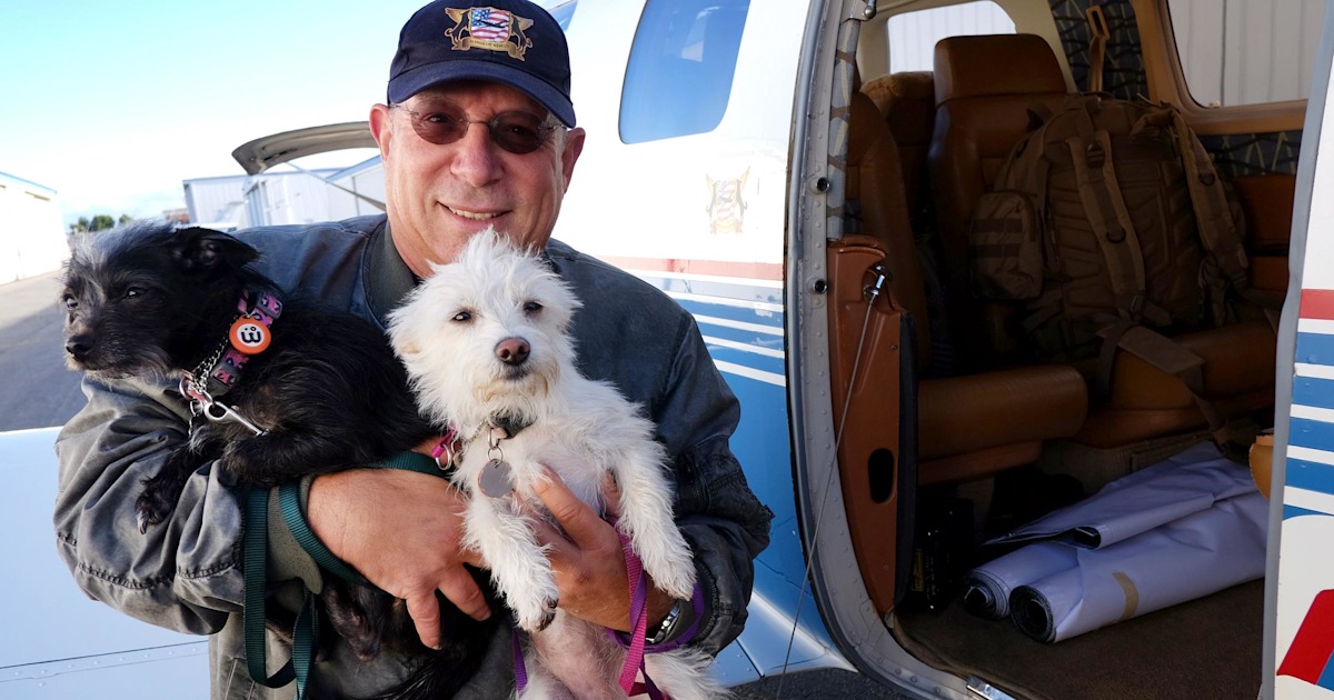 Volunteer pilots give doomed dogs a second chance at life