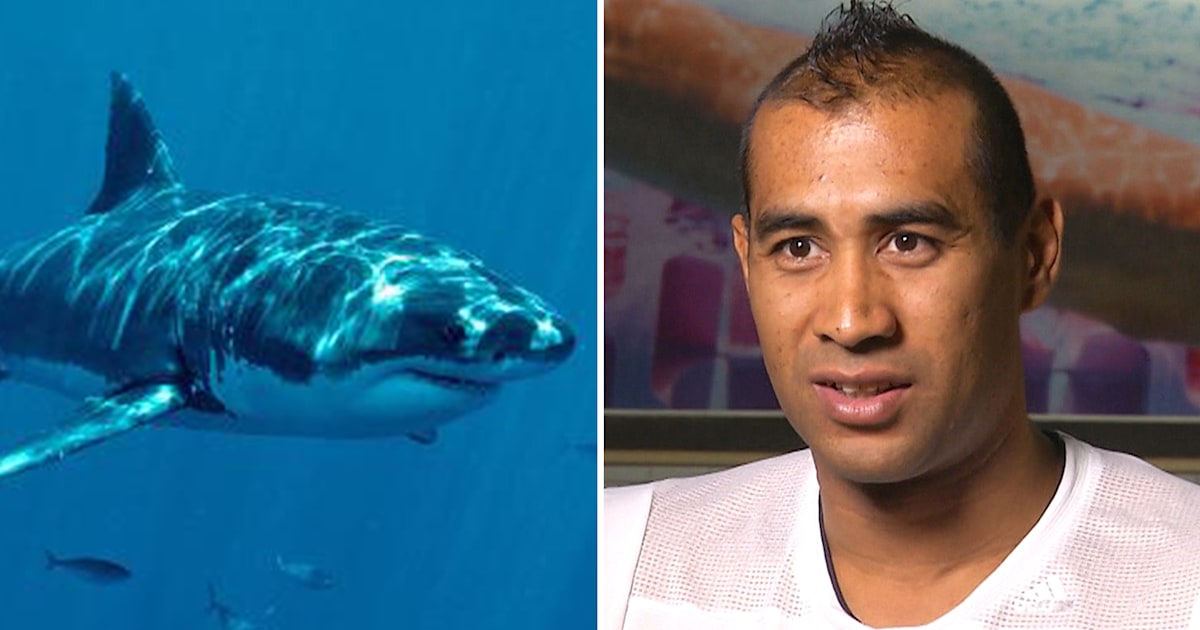 I survived a shark attack — and now I'm on the shark's side