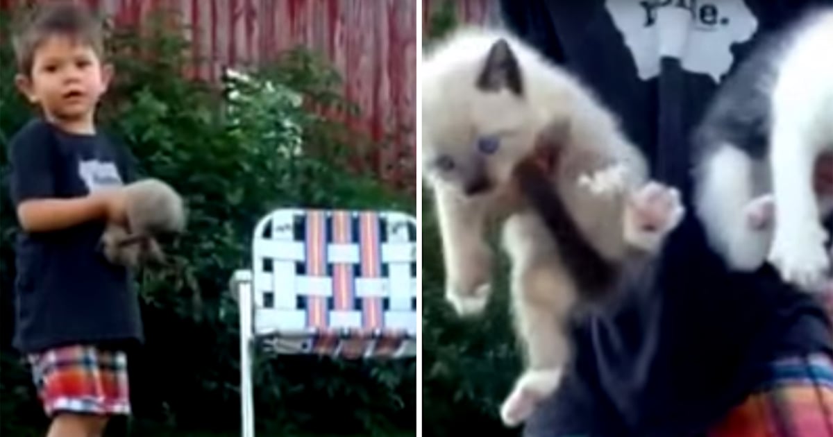 Young boy tries to wrangle kittens, and fails adorably: ‘We got more ...