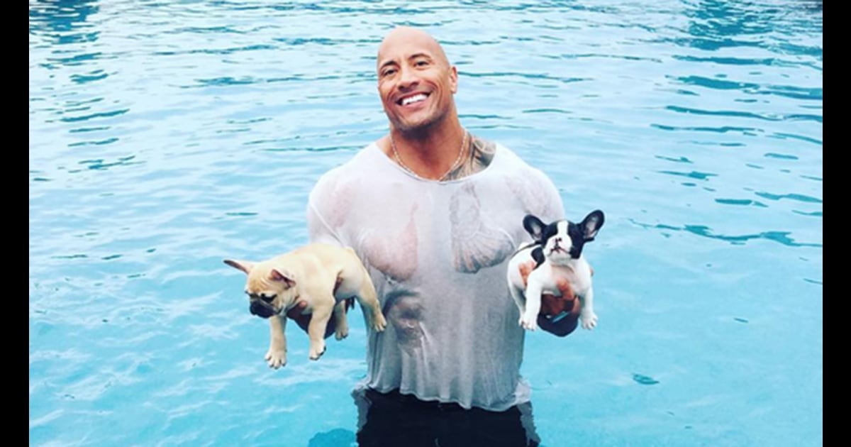 Dwayne 'The Rock' Johnson saves pup from drowning, is doggone awesome