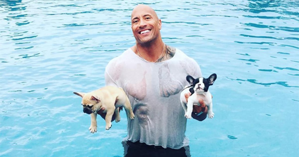 Dwayne 'The Rock' Johnson saves pup from drowning, is doggone awesome