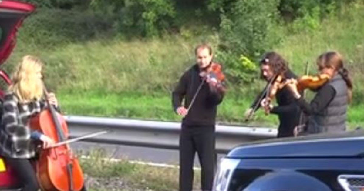 Drivers stuck in traffic jam treated to string quartet performance