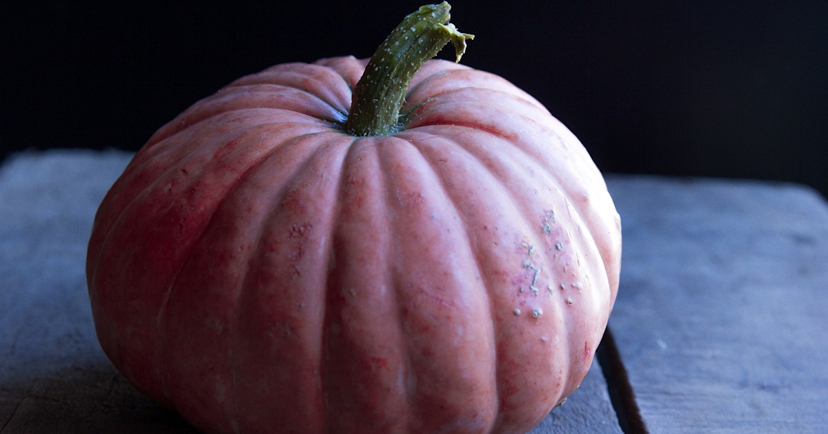How to cook with real pumpkin: Tips for prepping and shopping, plus recipes