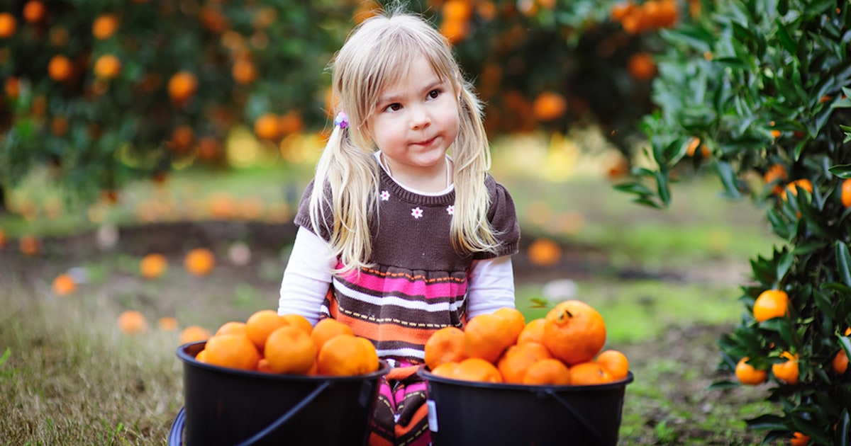 It's orchard season! 7 tips for a great u-pick farm day