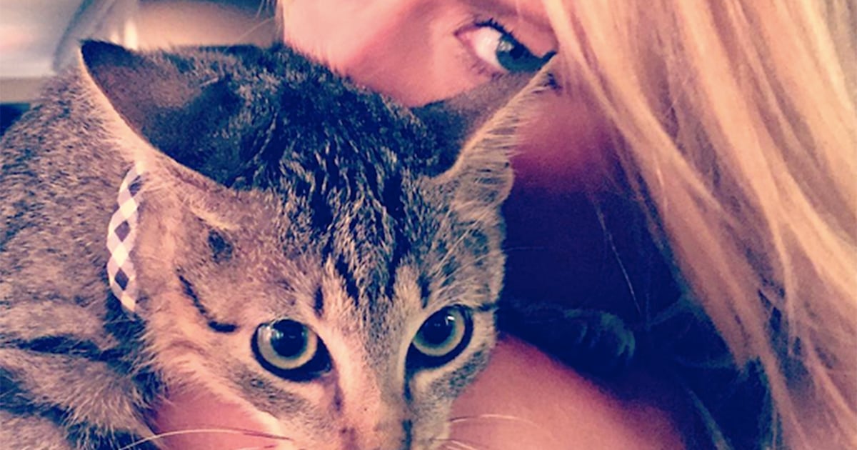 Miranda Lambert introduces her new rescue kitten — and shares sweet story