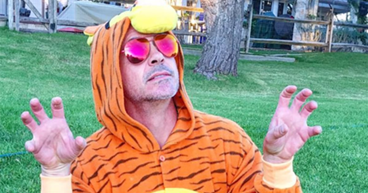 Robert Downey Jr., in tiger costume, invites fan to premiere