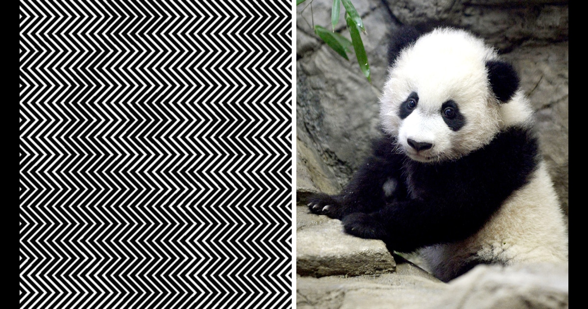 Time to play Spot the Panda again! (But now for a good cause)