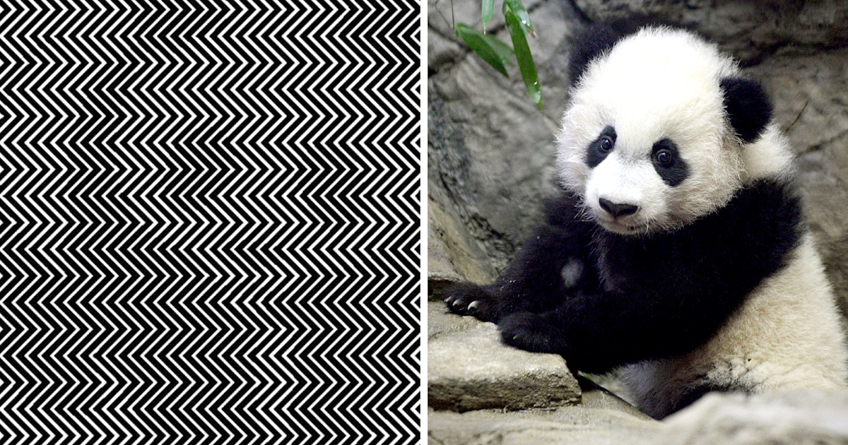 Time to play Spot the Panda again! (But now for a good cause)