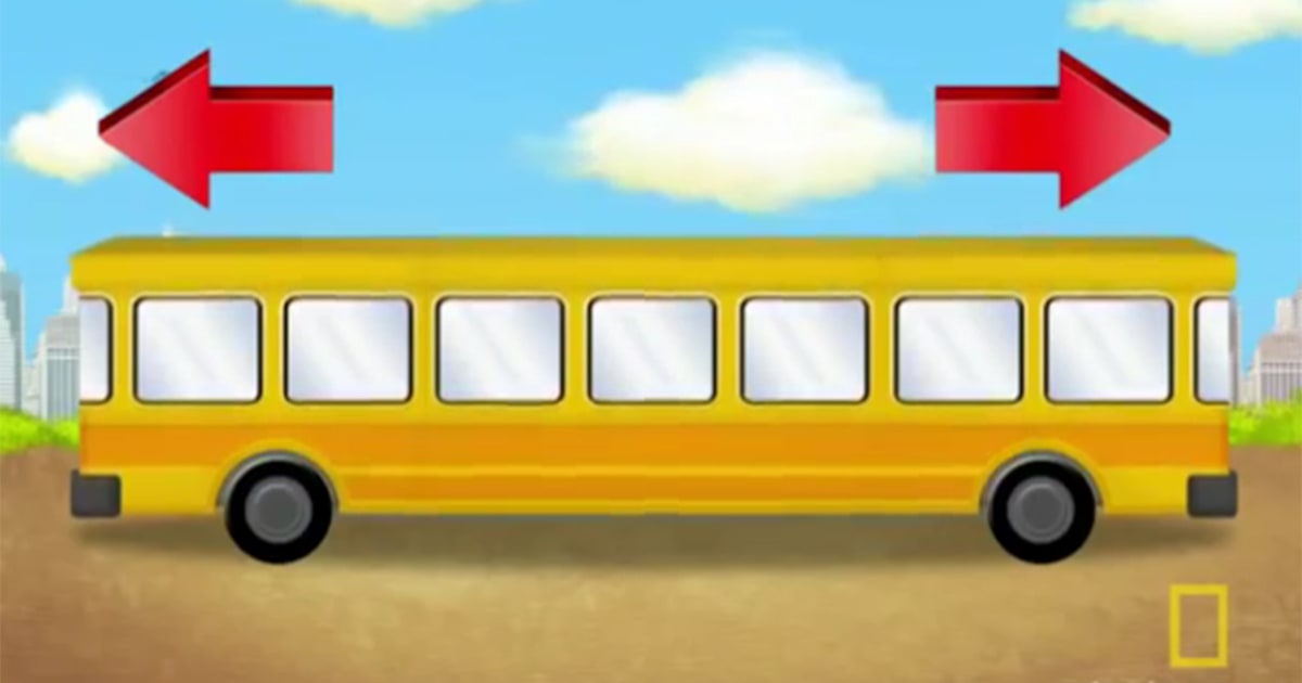 National Geographic bus puzzle easy for kids but not adults