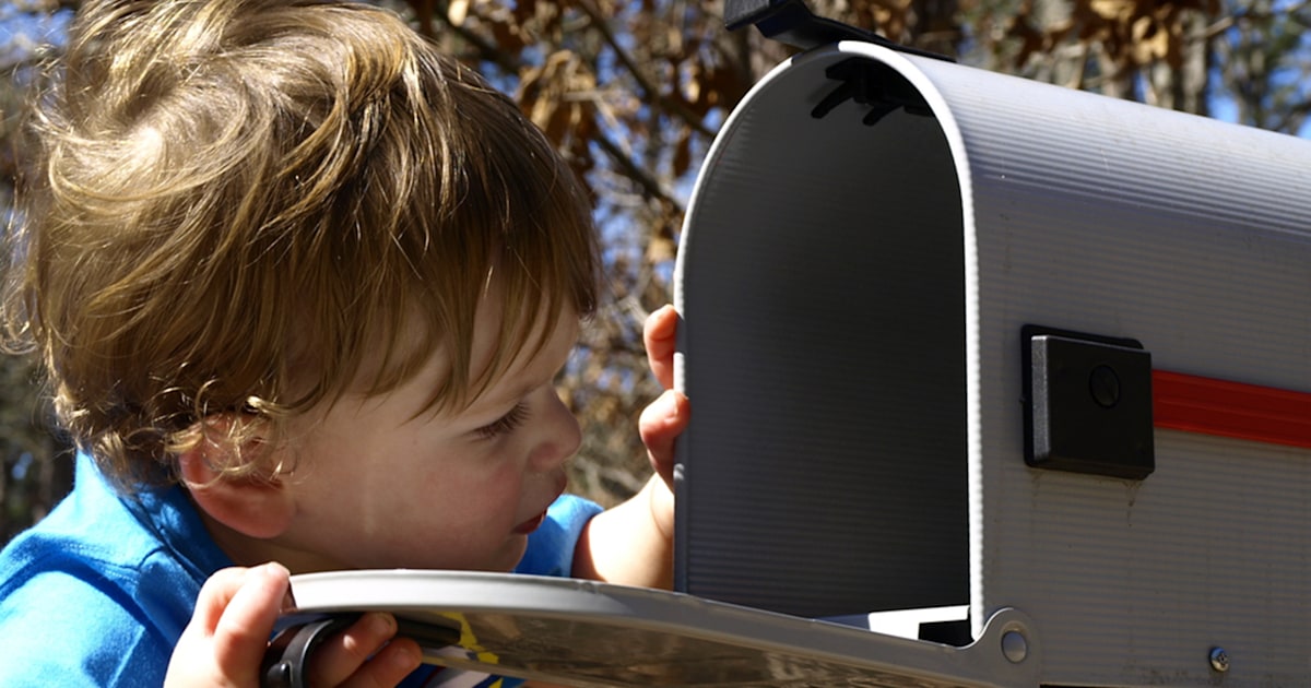 Turtle Mail: The kid's toy that lets kids enjoy the excitement of US ...