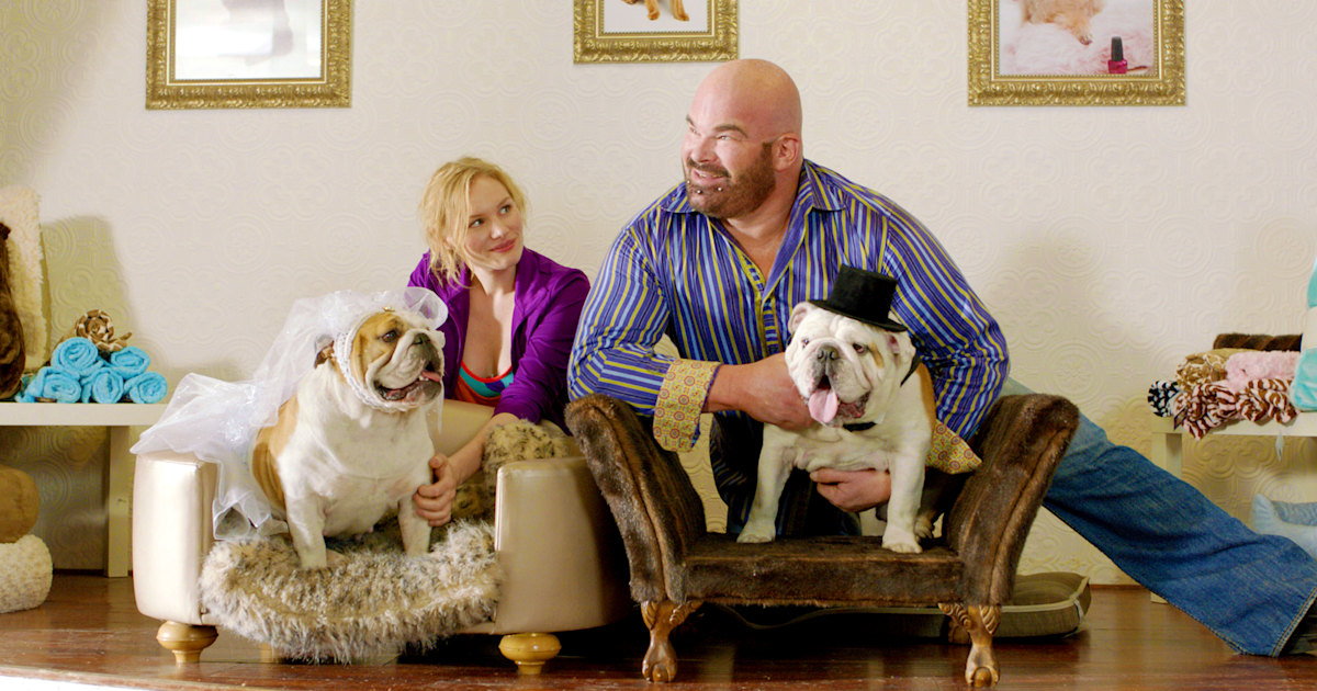 ‘You may sniff the bride’: New movie celebrates dog weddings