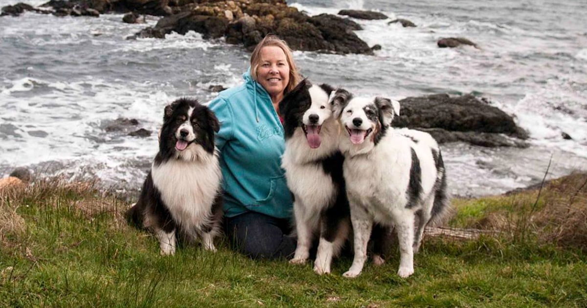 Woman with cancer finds new home for beloved dogs: 'They're my everything’