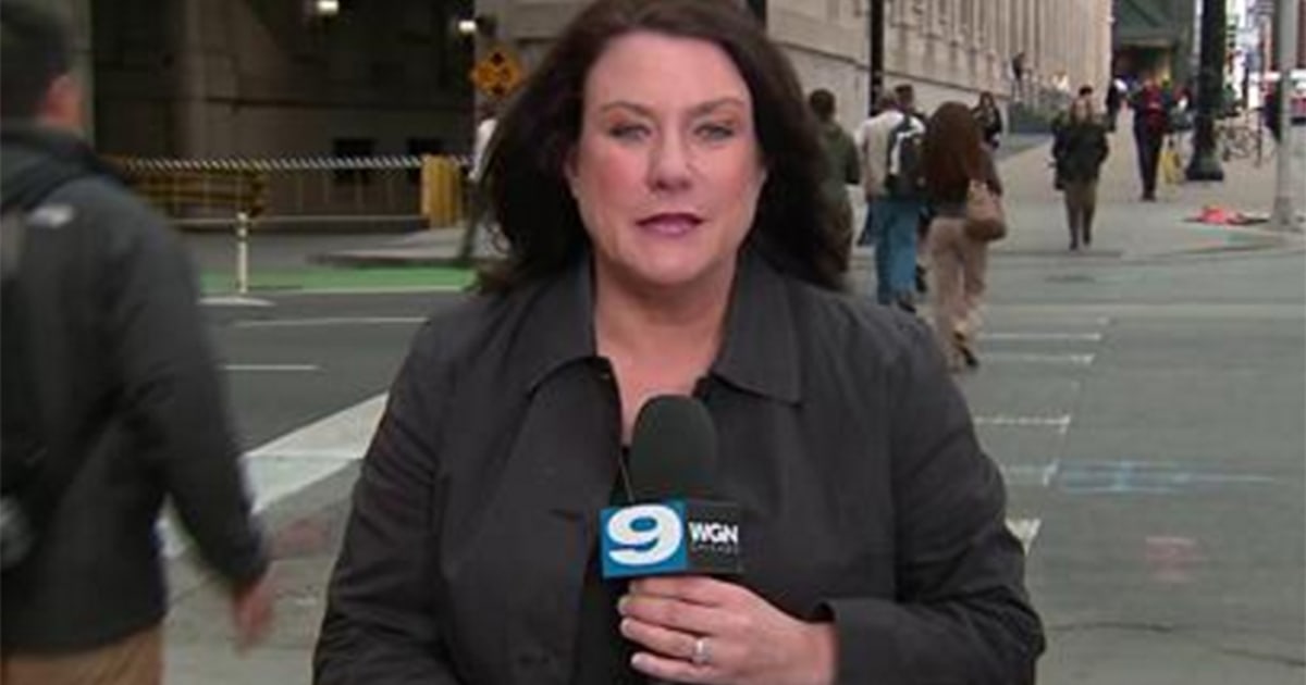 Reporter slams critics who called her overweight: My 'job is not to ...