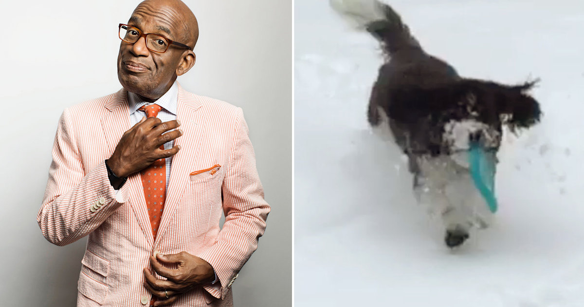 Secret lives: Show us what your pet does when you're not around