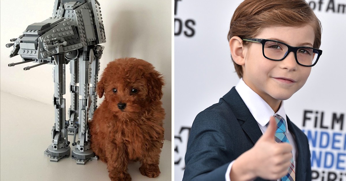 Jacob Tremblay feels the Force, names pup after 'Star Wars' character