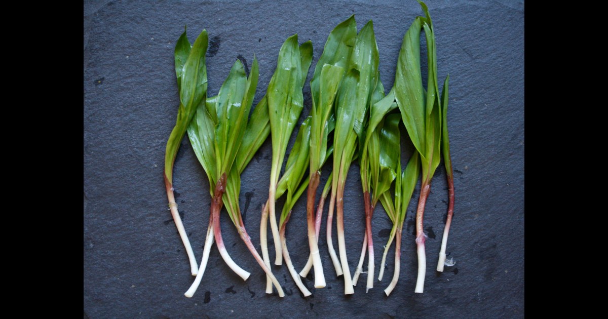 What to do with ramps, spring's most fashionable ingredient